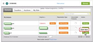 How do you get Domain Authorization Code at GoDaddy?