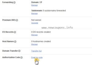 How do you get Domain Authorization Code at GoDaddy?
